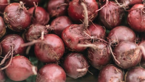 12 Benefícios da Beterraba para o Organismo, Beleza e (Bem-Estar ...