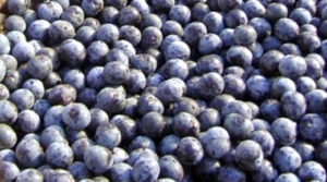 11 Benefícios da Fruta Bacaba: para manter o corpo saudável » Tudo ...