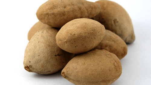 10 Benefícios da Fruta Baru: e Suas Incríveis Propriedades » Tudo sobre ...