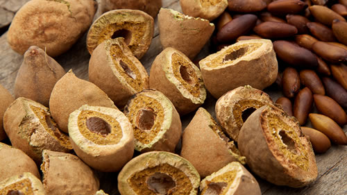 10 Benefícios da Fruta Baru: e Suas Incríveis Propriedades » Tudo sobre ...