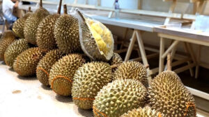 Conheça a Fruta Durião, Durian ou Duriango: (Como é Chamada!) » Tudo ...